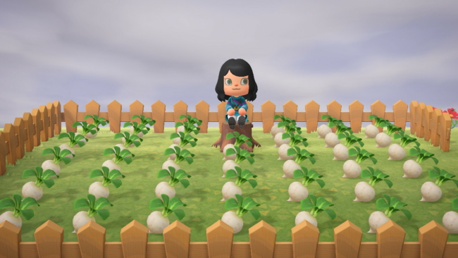 Animal Crossing: New Horizons Turnips Storage Guide – How to Store ...
