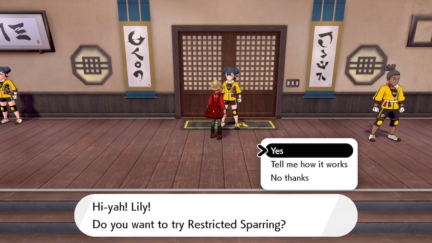 Pokemon Sword & Shield Restricted Sparring Guide - New Isle of Armor ...