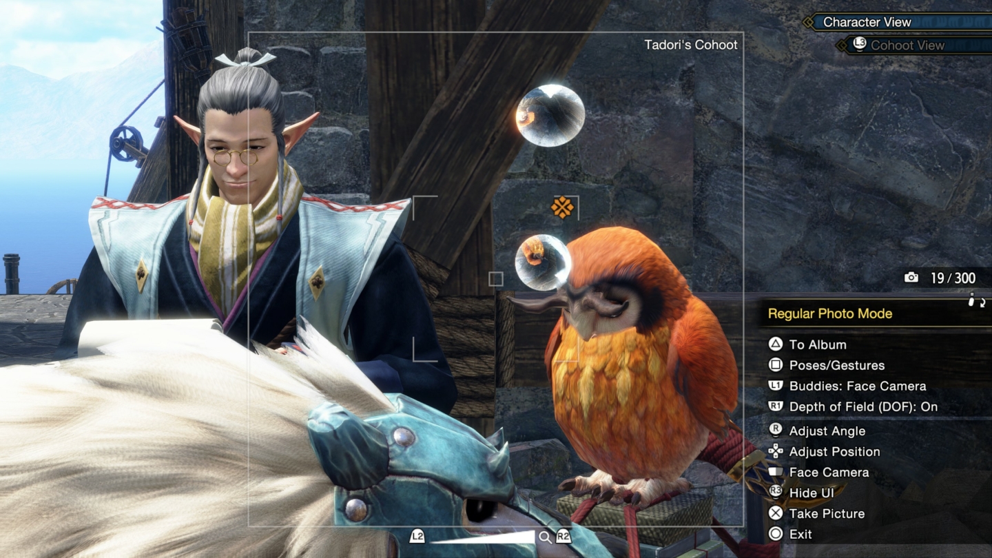 Where to Find Three Elgado Cohoots in Monster Hunter Rise: Sunbreak