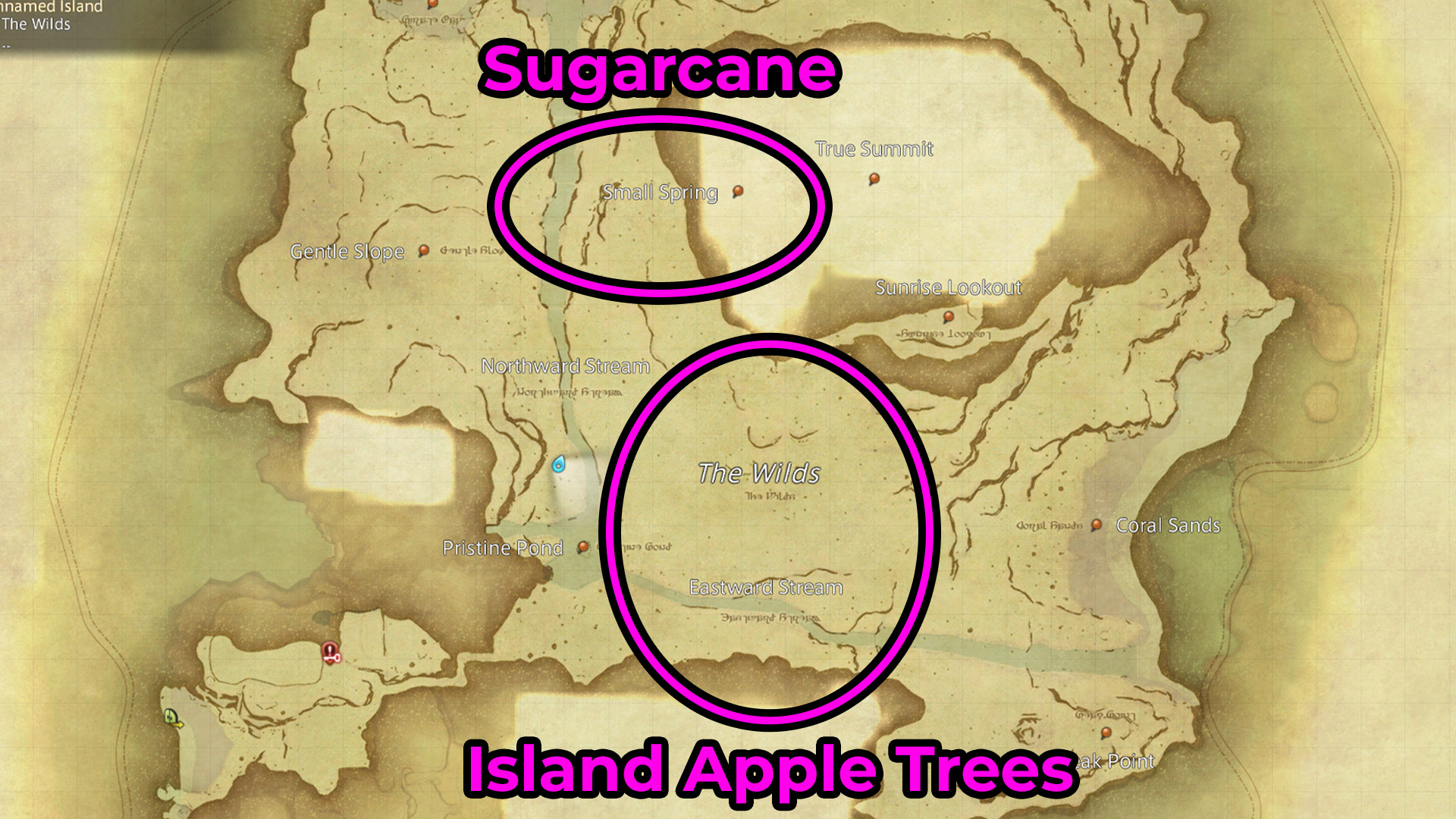 FFXIV Island Vine Guide: Where to Find Vines on Your Island Sanctuary