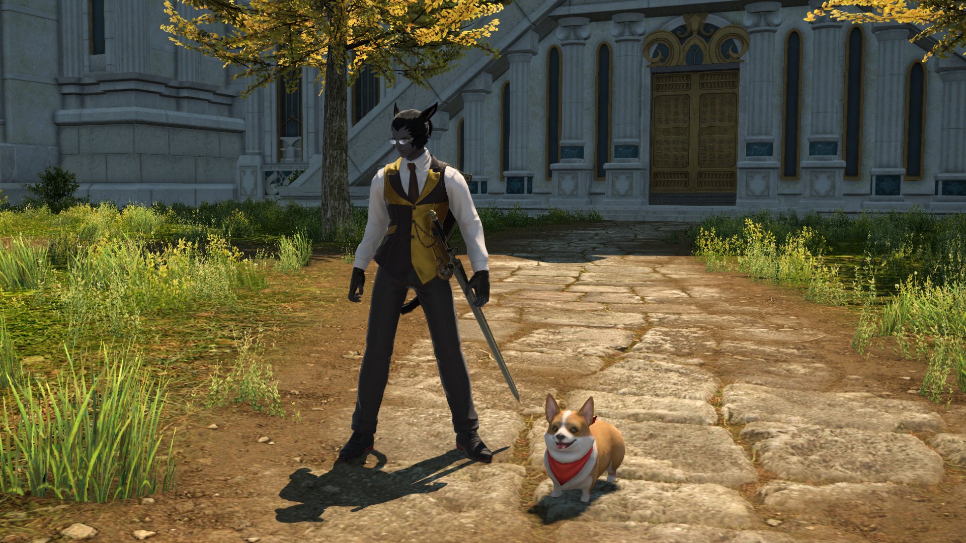 How to Get the Corgi Minion in FFXIV