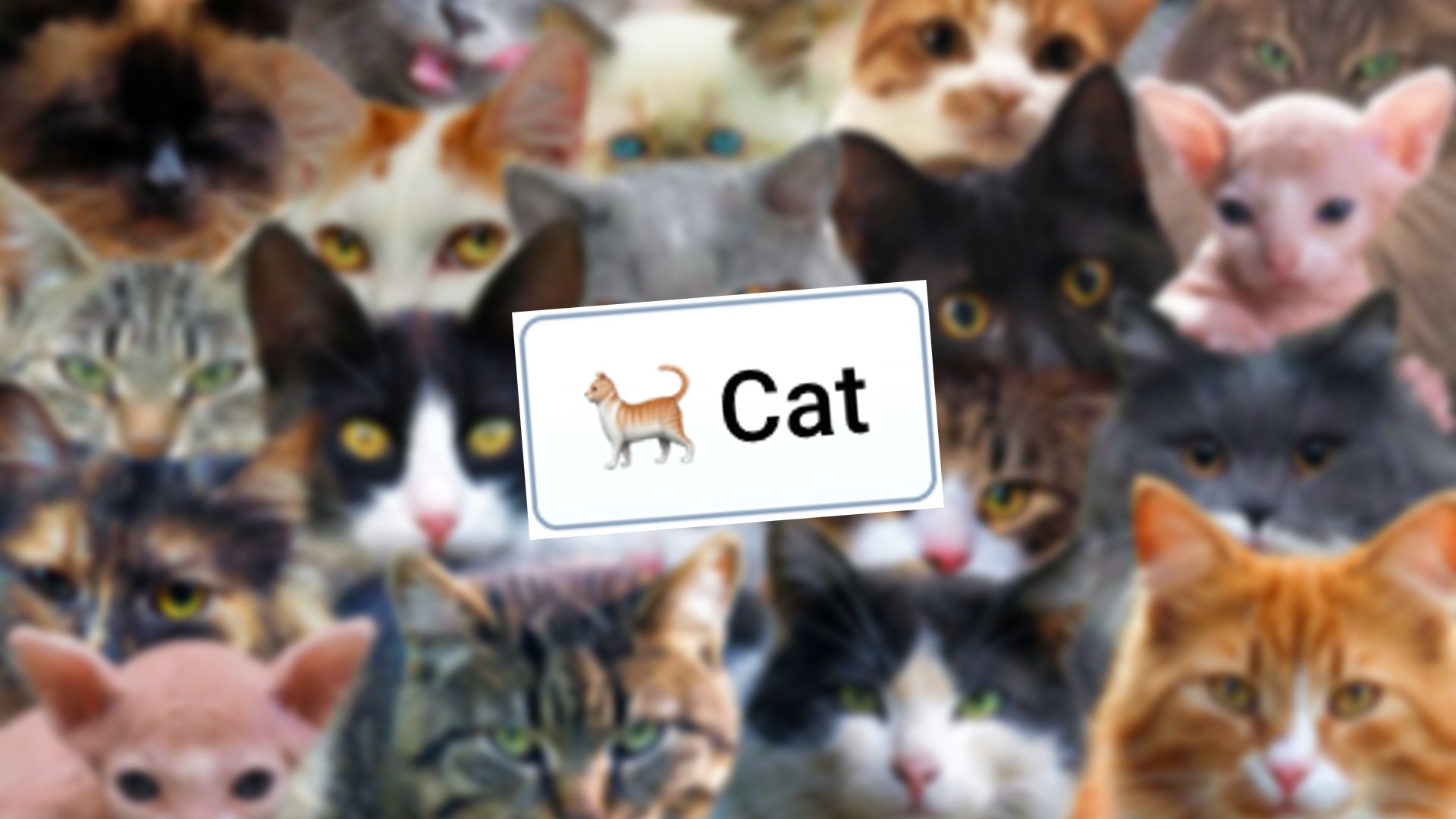 How to Make Cat in Infinite Craft