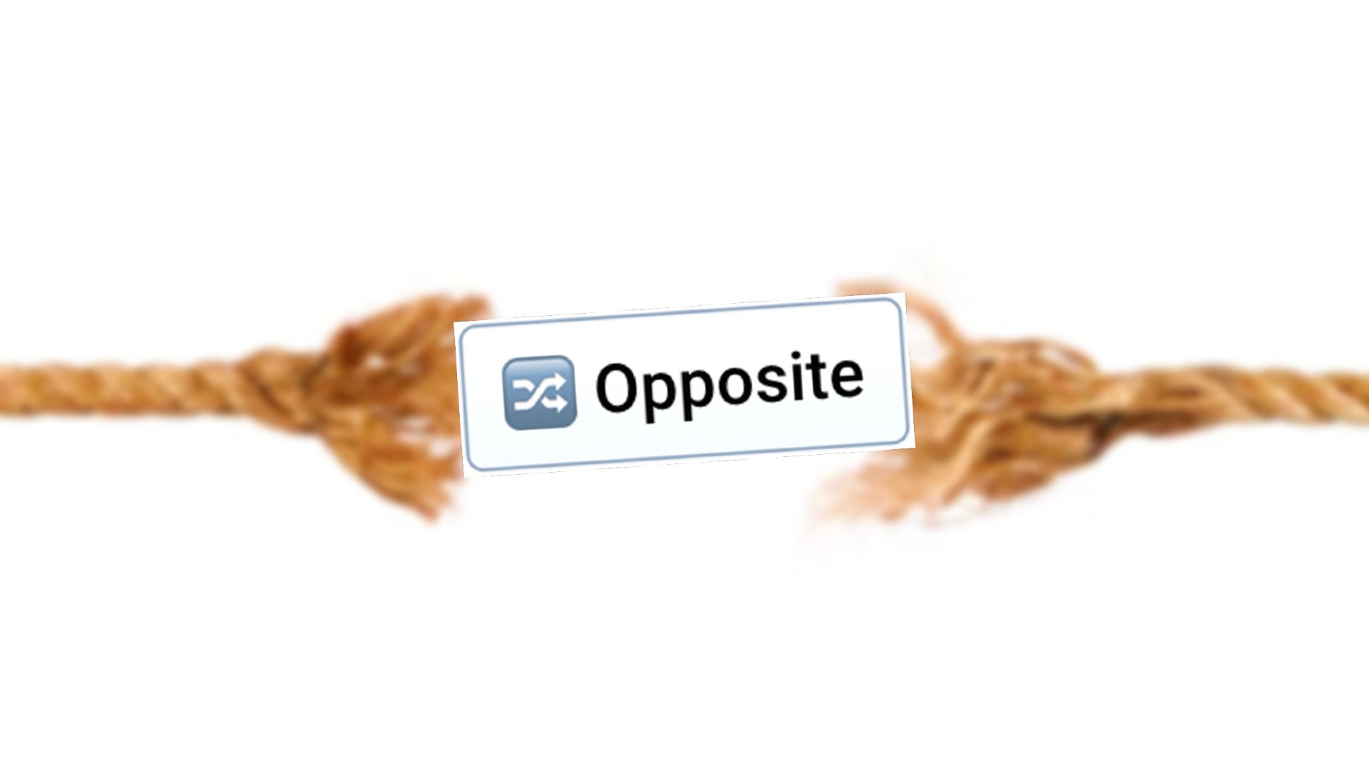 Opposites Craft Follow The Leader! Opposites Grade K Language Arts