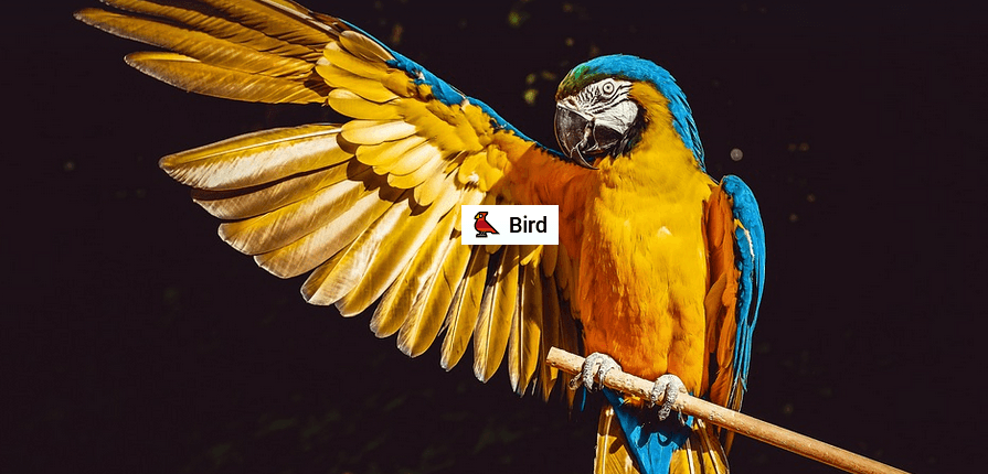 How to Make a Bird in Infinite Craft